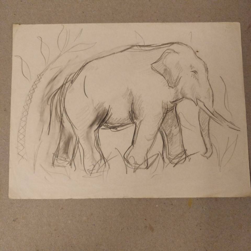 Tegning af elefant, med skitse på bagsiden. Online salg.